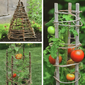 25 Diy Tomato Cage Ideas » Comfy Ideas