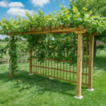 16 Grape Vine Trellis Ideas » ComfyIdeas.com