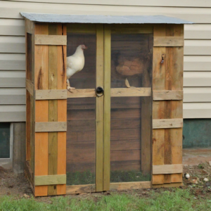 17 DIY Chicken Run Cheap Ideas » ComfyIdeas.com