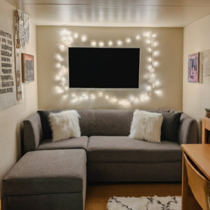 20 Dorm Living Room Decor Ideas » ComfyIdeas.com