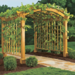16 Grape Vine Trellis Ideas » Comfy Ideas
