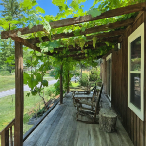 16 Grape Vine Trellis Ideas » Comfy Ideas