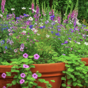 23 Flower Bed Designs Layout Ideas » Comfy Ideas