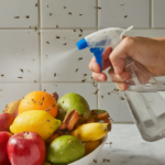 7 Effective Ways to Get Rid Of Gnats from the Kitchen » ComfyIdeas.com