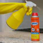7 Effective Ways to Get Rid Of Gnats from the Kitchen » ComfyIdeas.com