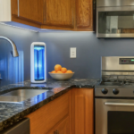 7 Effective Ways to Get Rid Of Gnats from the Kitchen » ComfyIdeas.com