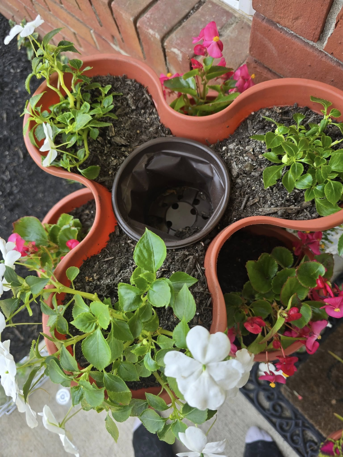 23 Dollar Store Garden DIY Ideas That Will Transform Your Outdoor Space ...
